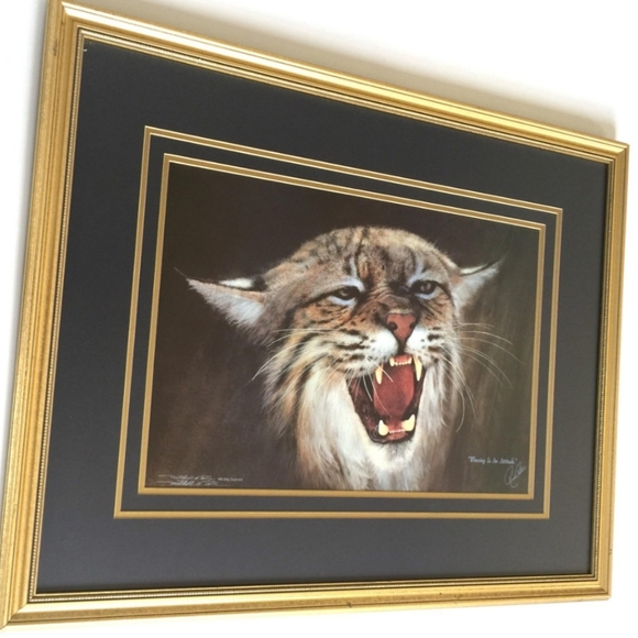 THE KENTUCKY WILDCAT | Art | The Kentucky Wildcat Limited Edition ...
